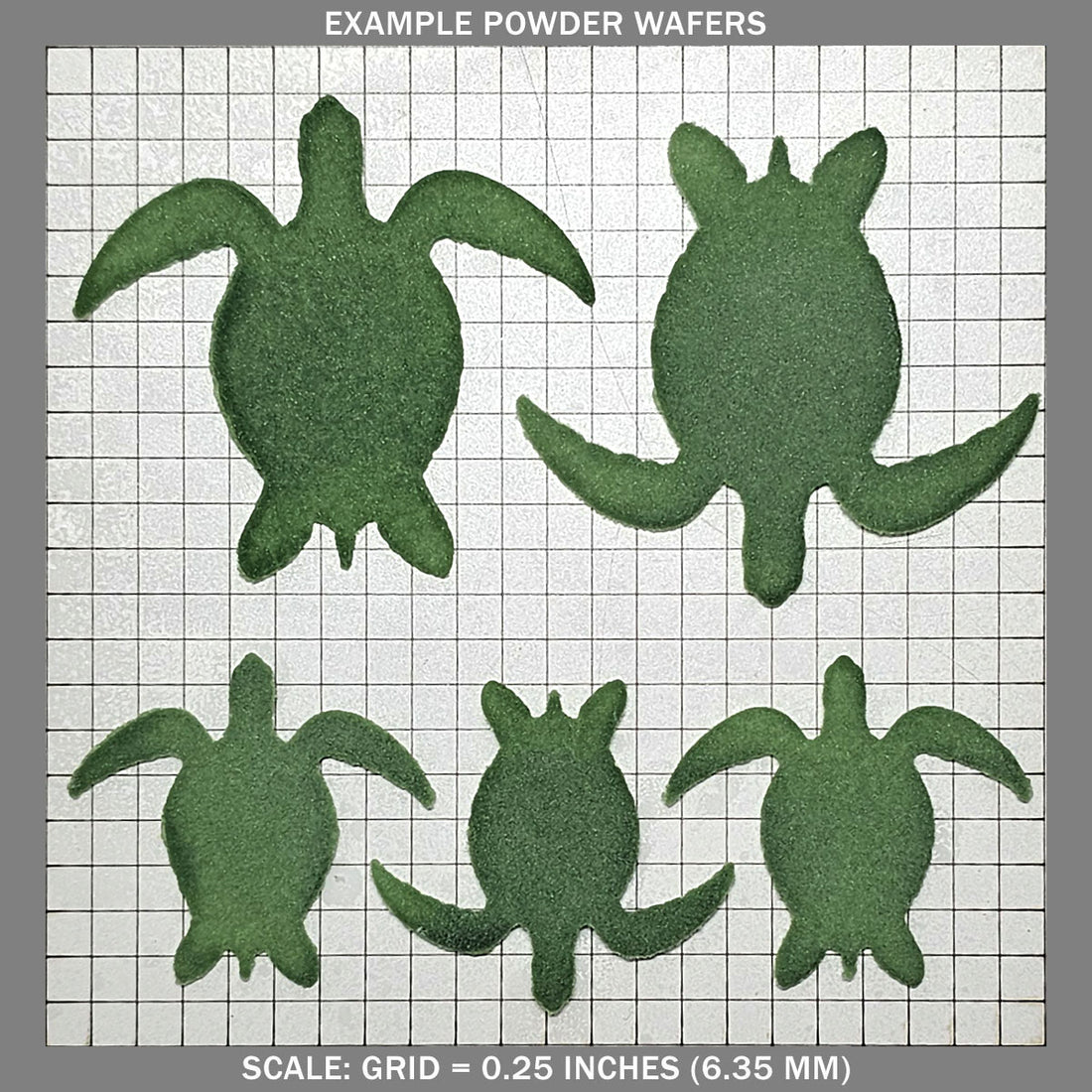 Sea Turtles - Small – Fusing Factory